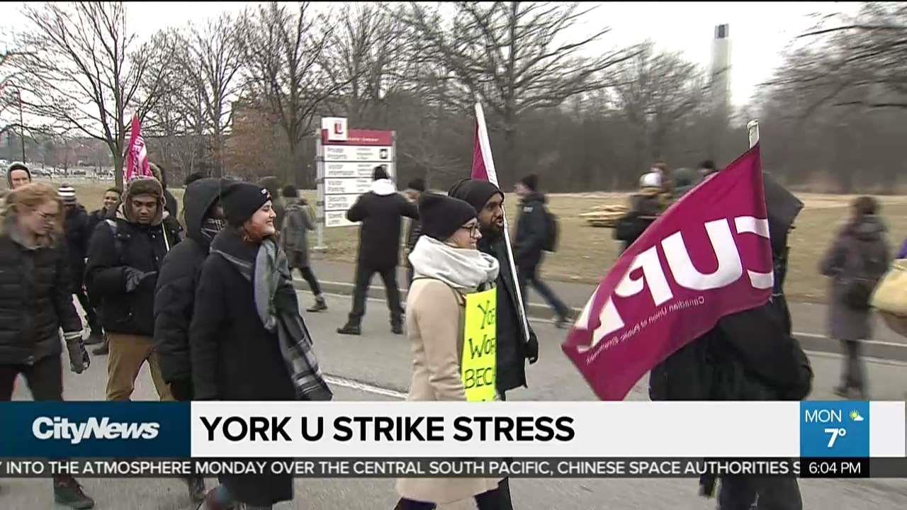 York University strike putting stress on students | CityNews Toronto