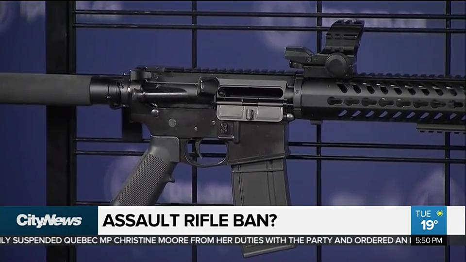 Public Safety Minister to consider assault rifle ban