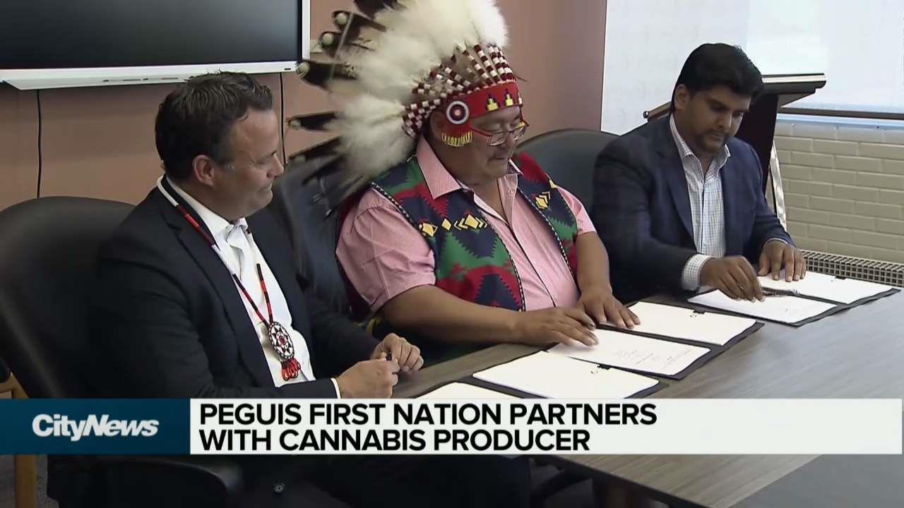 Peguis First Nation partners with cannabis producer