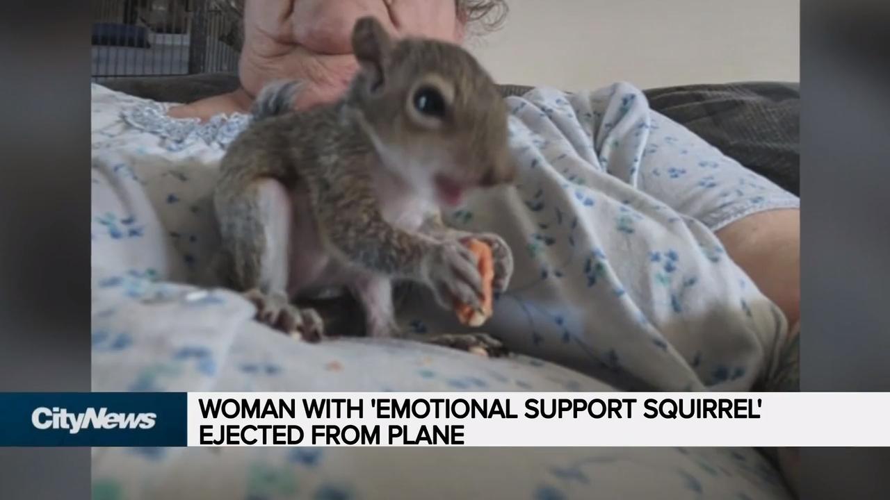 'Emotional support squirrel' owner speaks about being ejected from plane