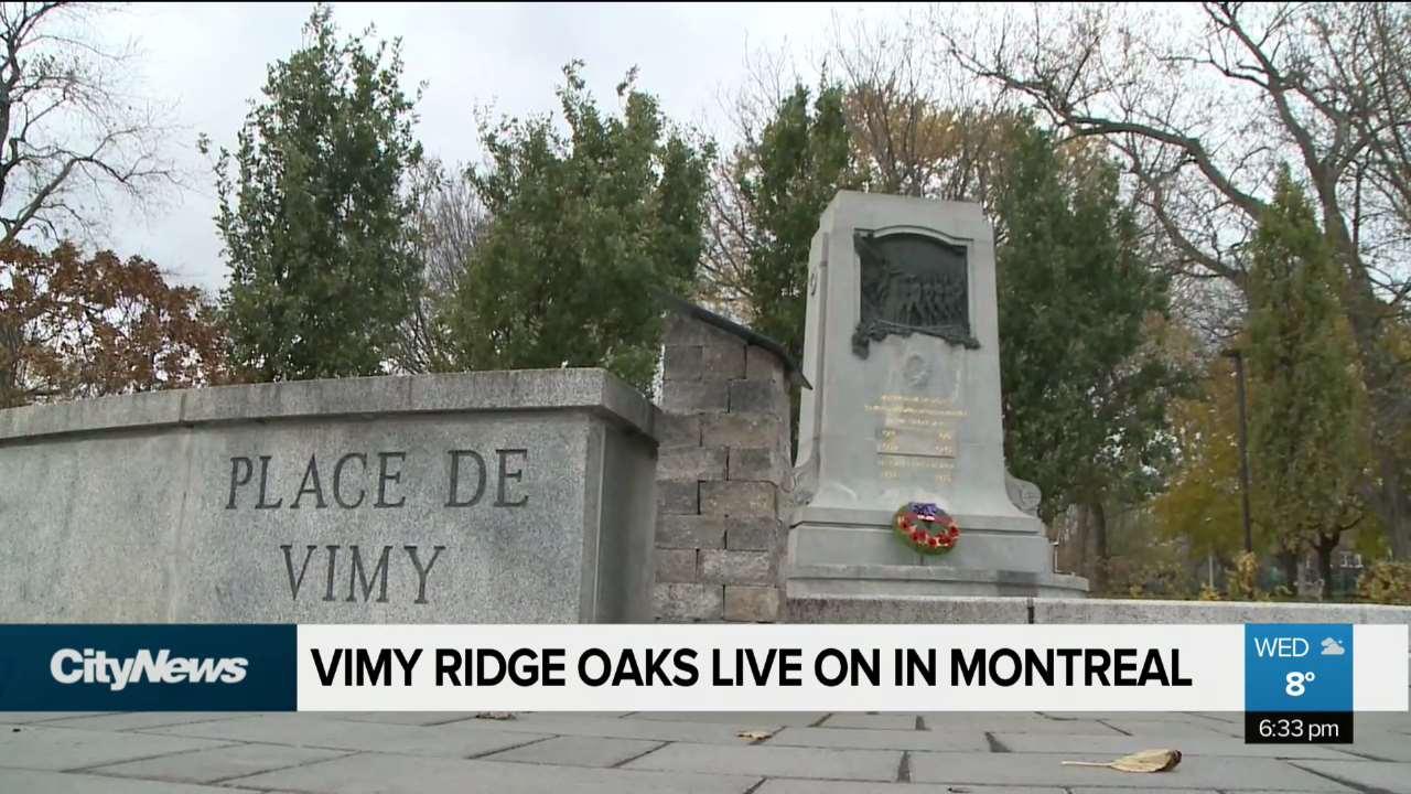 Oak trees from Vimy Ridge live on in Montreal