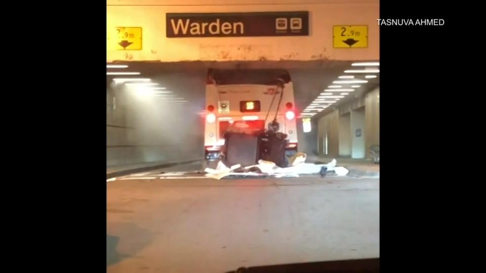 TTC's first brand new Proterra electric bus has arrived : r/toronto