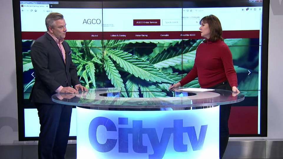 Interview with Friendly Stranger owner James Jesty