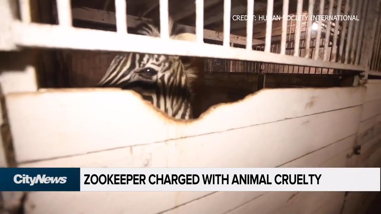 Zoo owner arrested for animal cruelty and neglect