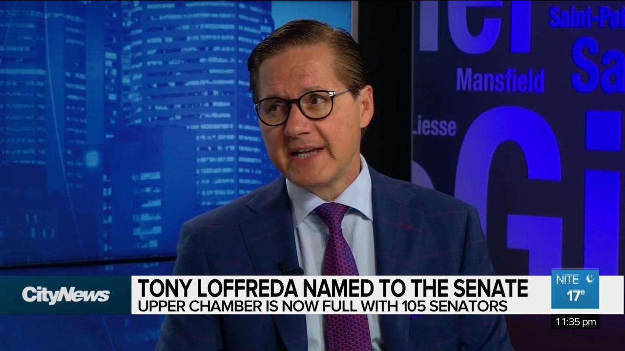 Tony Loffreda named to Senate