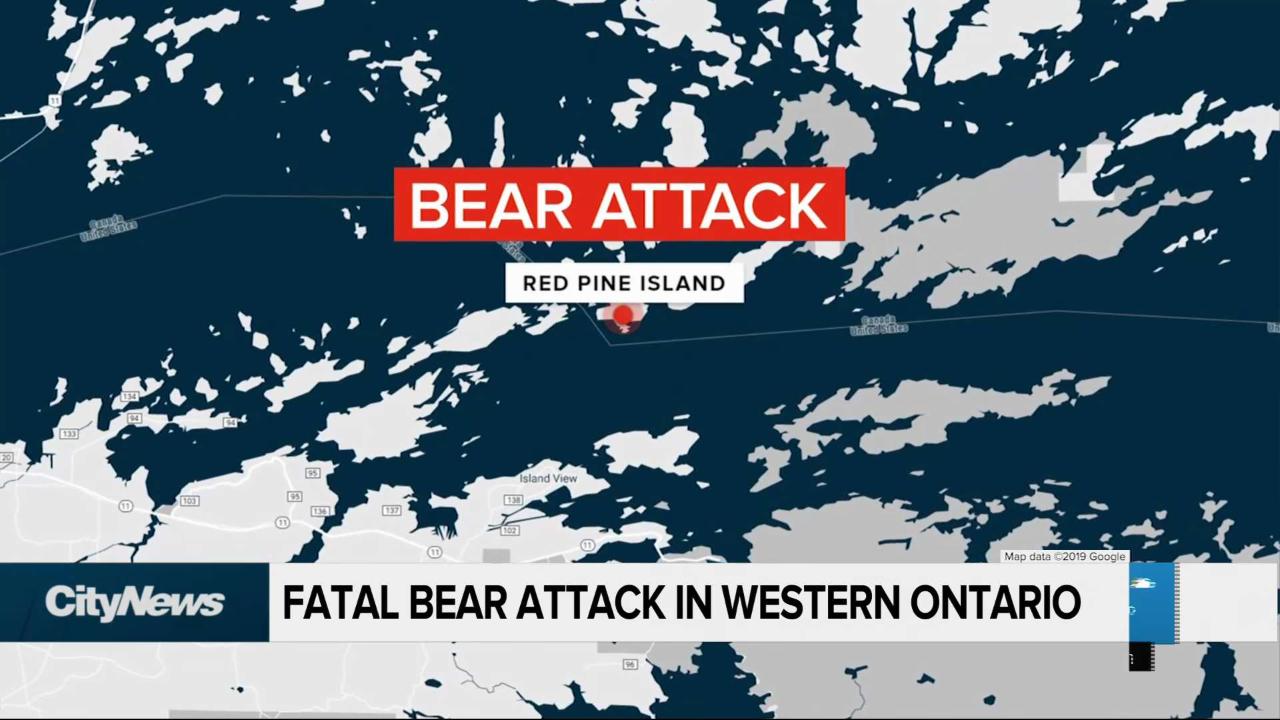 Fatal bear attack in Ontario