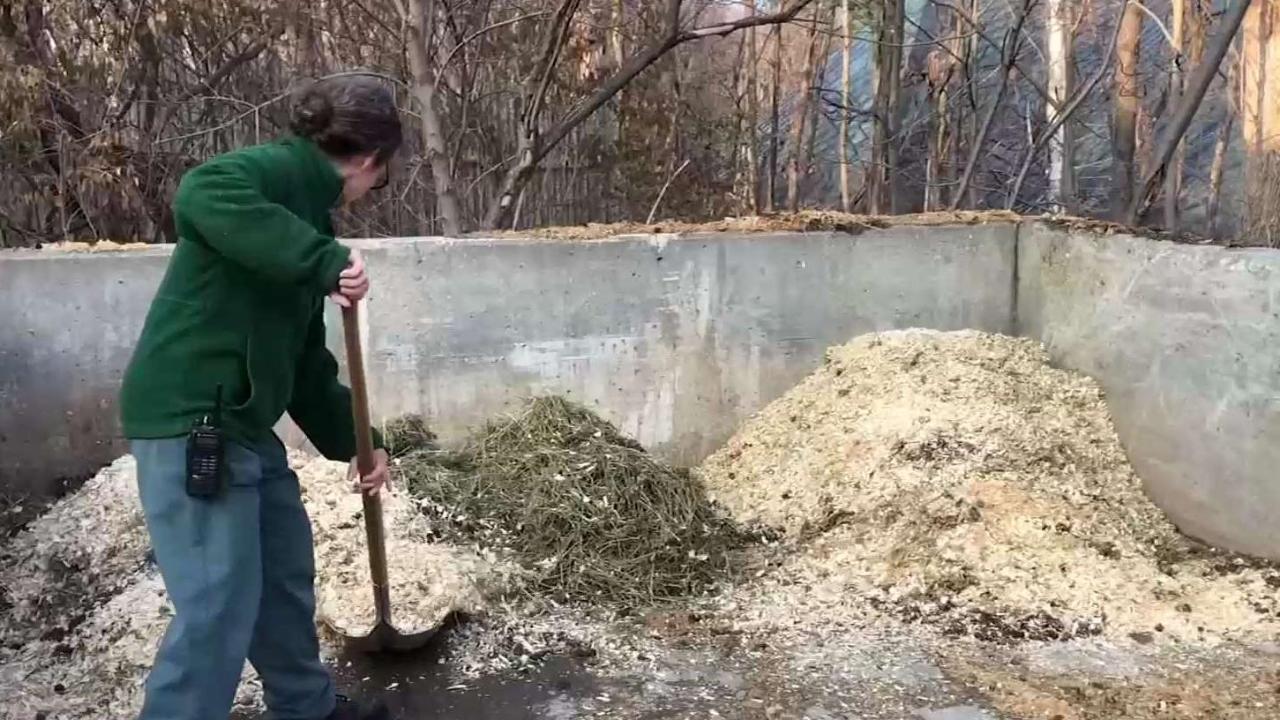 How zoo animal poo being turned into electric power