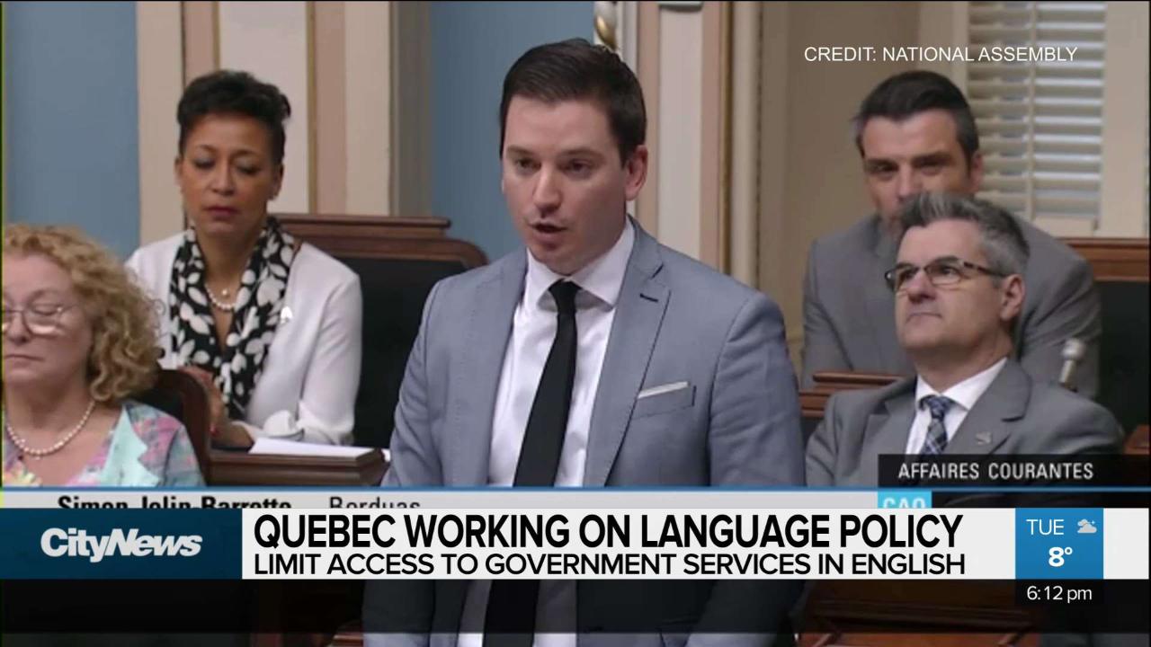 Protecting French Language