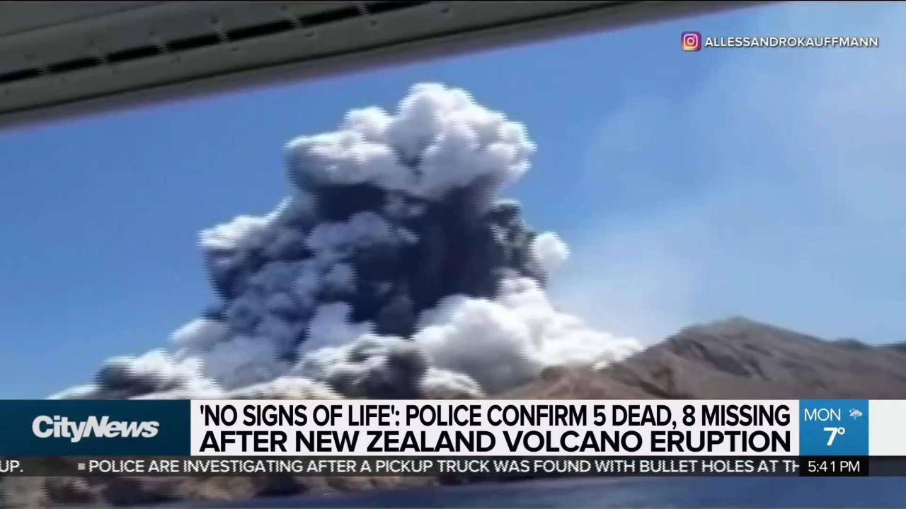 5 dead, 8 missing after New Zealand volcano eruption