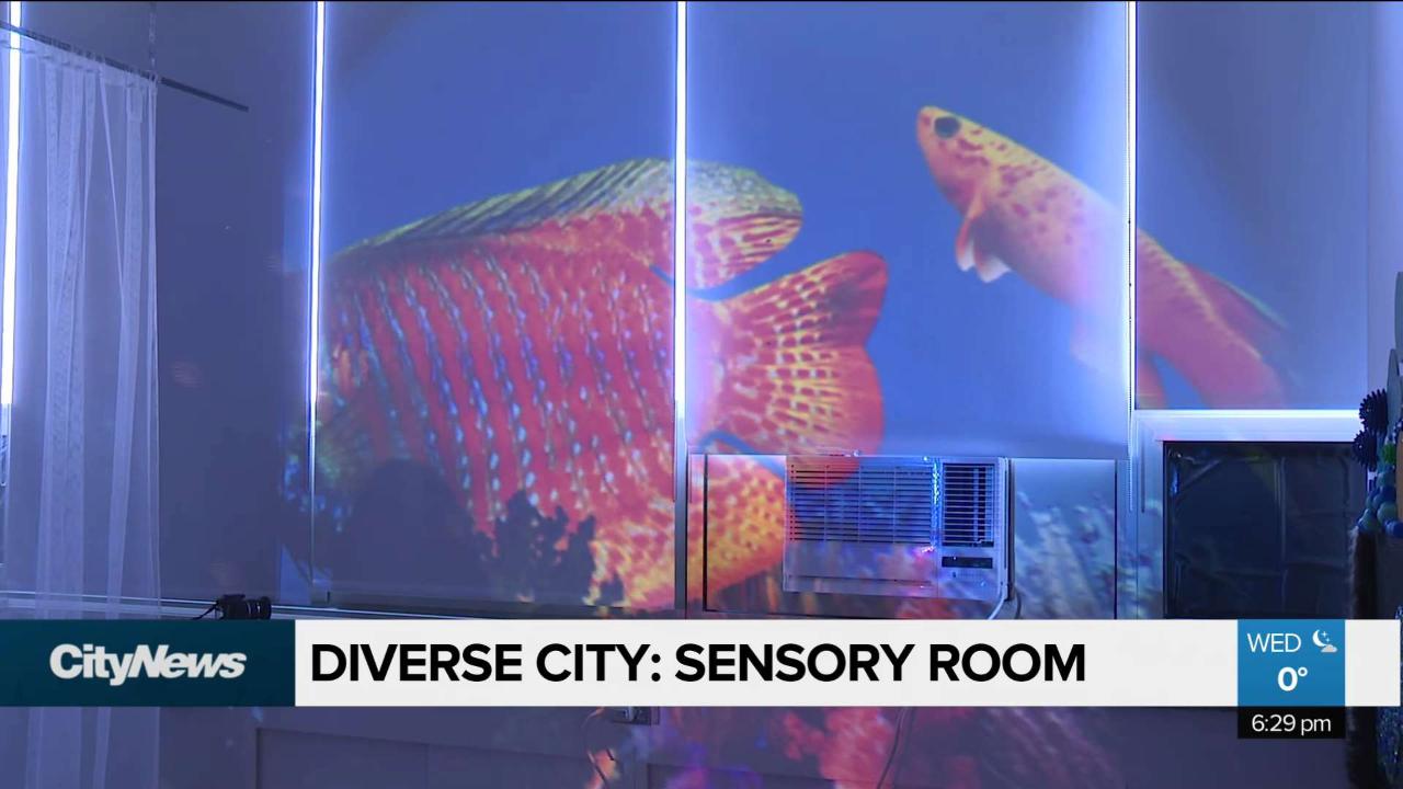 Diverse City: Sensory Room