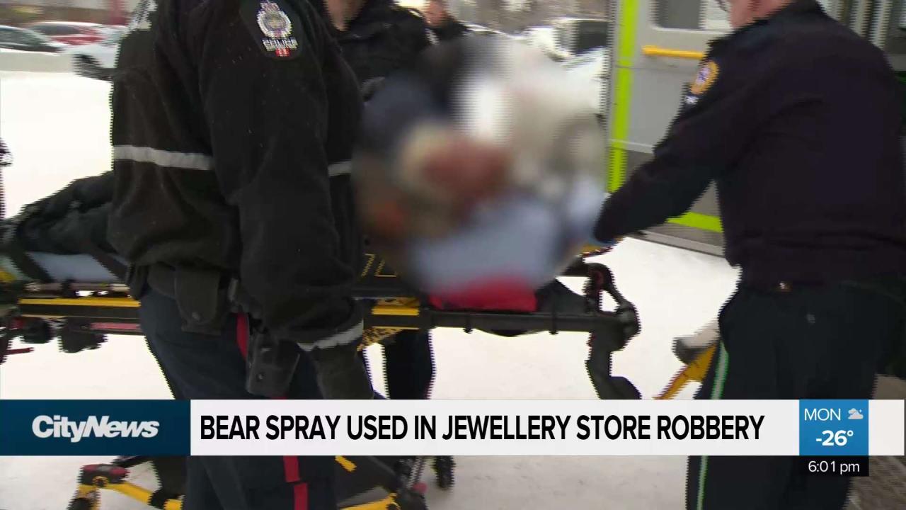 ‘Noxious spray’ used in jewellery store robbery - Video - CityNews Edmonton