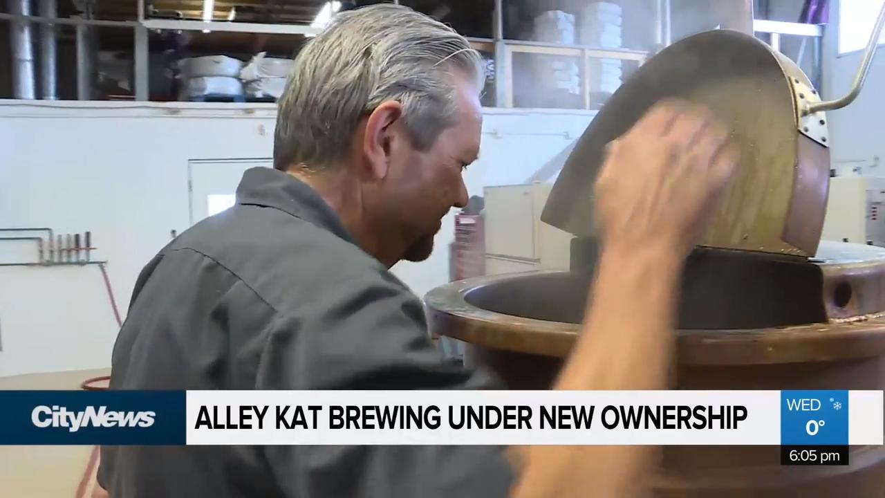 Alley Kat under new ownership - Video - CityNews Edmonton