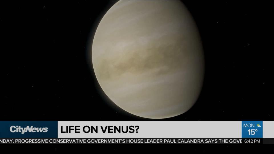 Is there alien life on Venus?