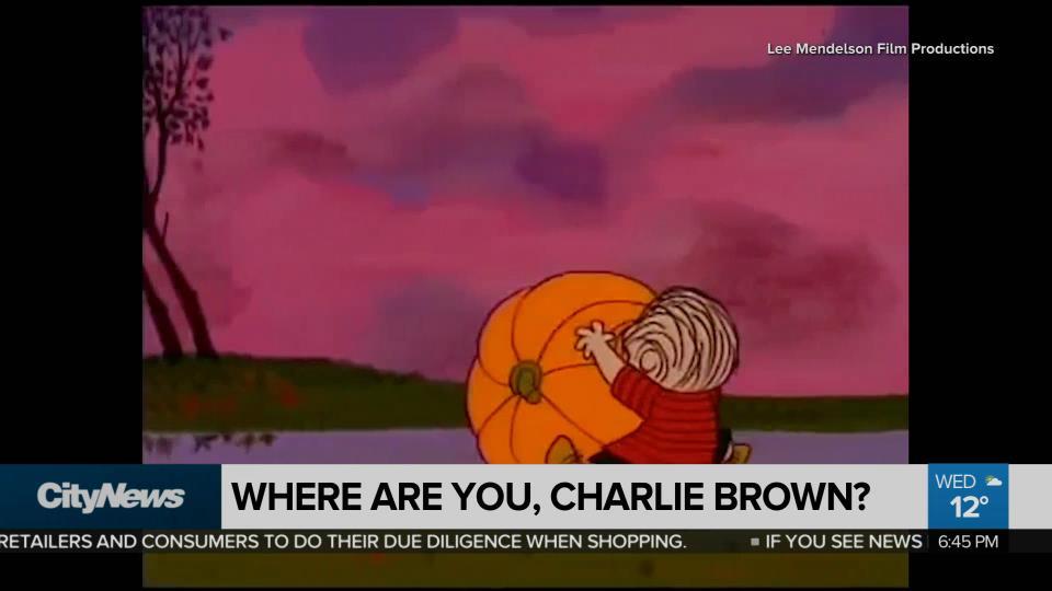 Charlie Brown holiday specials disappear from conventional TV ...